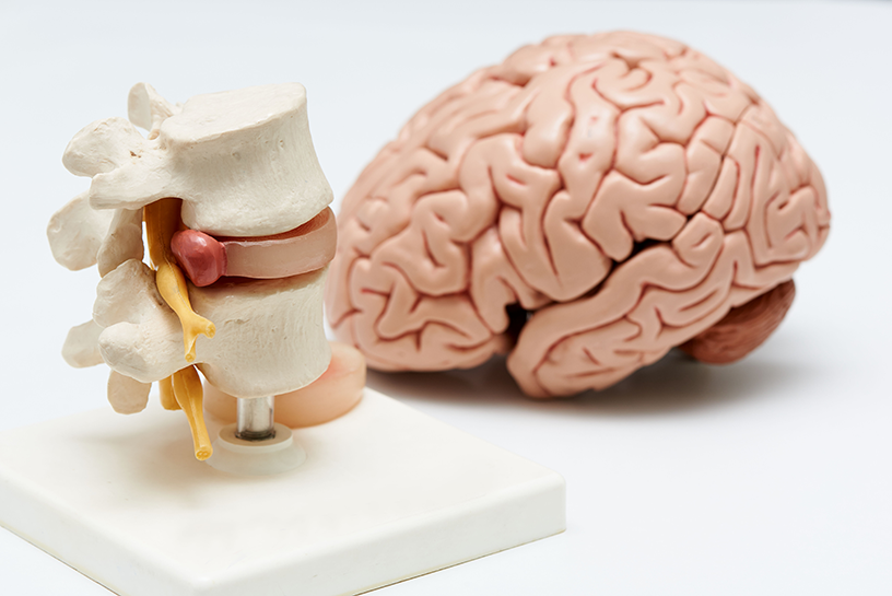 Good News for Your Health: More Neurosurgery Care at SIH | Southern ...