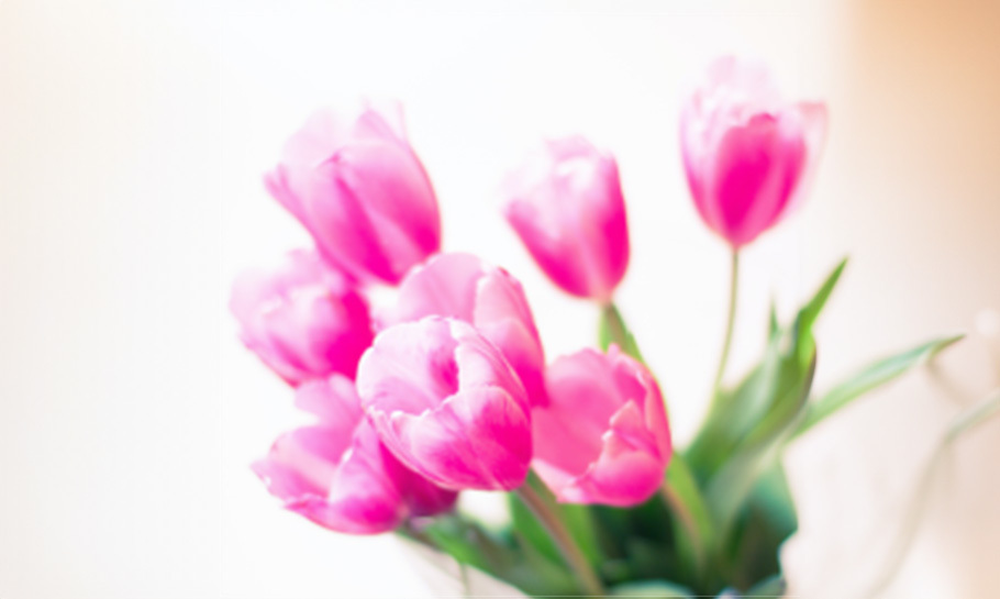 TONI Award Nomination | Southern Illinois Healthcare